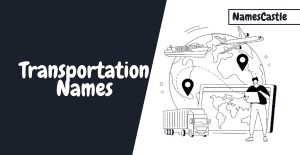 Navigate in Style: Transportation Names for Your Business - Namescastle