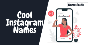 570+ Instagram Account Names Unique Creative & Stylish