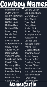 500+ Cowboy Names Cool Unique Creative Funny Catchy & Cute