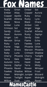 500+ Fox Names Unique Creative Funny Cool Epic & Cute Ideas
