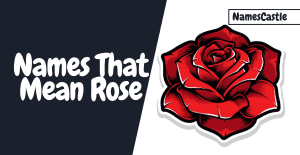 500+ Names That Mean Rose Unique Creative Romentic & Cute