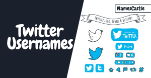 500+ Twitter Usernames Unique Cute Funny Creative & Cool