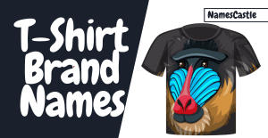 600+ T-Shirt Brand Names Creative Unique Stylish Cool & Epic