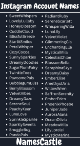 570+ Instagram Account Names Unique Creative & Stylish