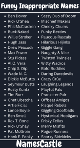 550+ Funny Inappropriate Names Stylish Unique & Creative