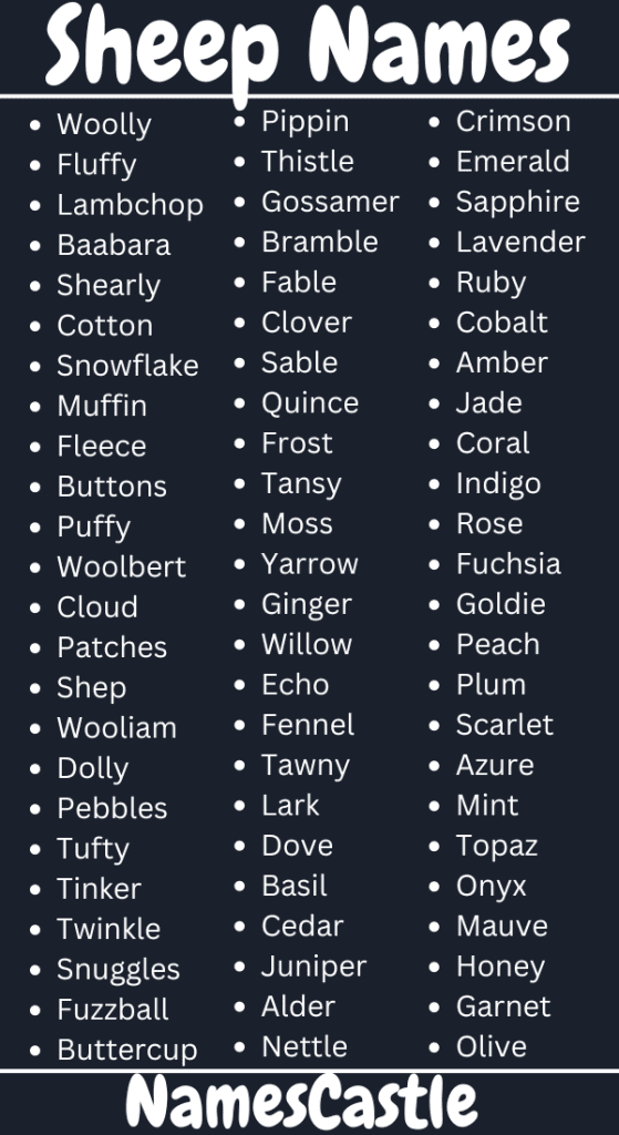 600 Sheep Names Unique Creative Funny Stylish Cool Cute