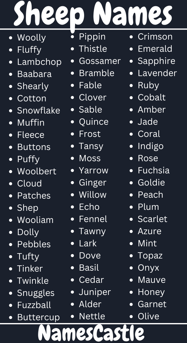 600+ Sheep Names Unique Creative Funny Stylish Cool & Cute