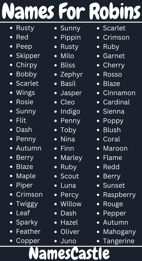 550+ Names For Robins Creative Stylish Unique Funny & Cool
