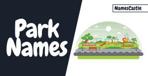 570+ Tryhard Names Unique Creative Stylish Funny Cool & Cute