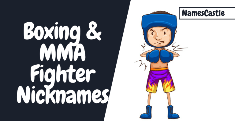 400+ Boxing & MMA Fighter Nicknames Stylish Unique & Creative