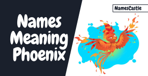 400+ Names Meaning Phoenix Stylish Unique Cool & Creative