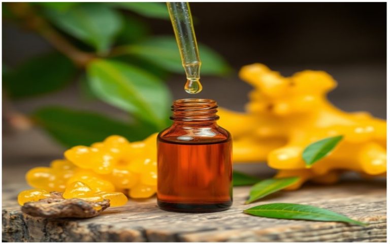Everything You Need to Know About Copaiba Oil and Its Benefits